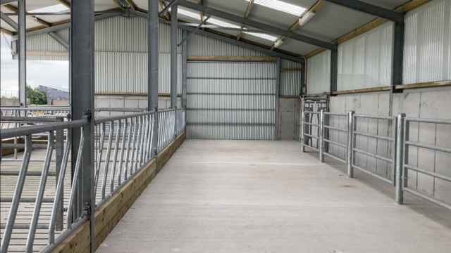 Buildings Focus: 4-bay slatted shed in Sligo for suckler-to-beef farm