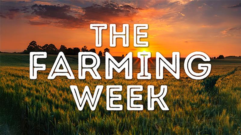 The Farming Week: Farmers protest GAEC 2, TAMS tranche for storm damage ...