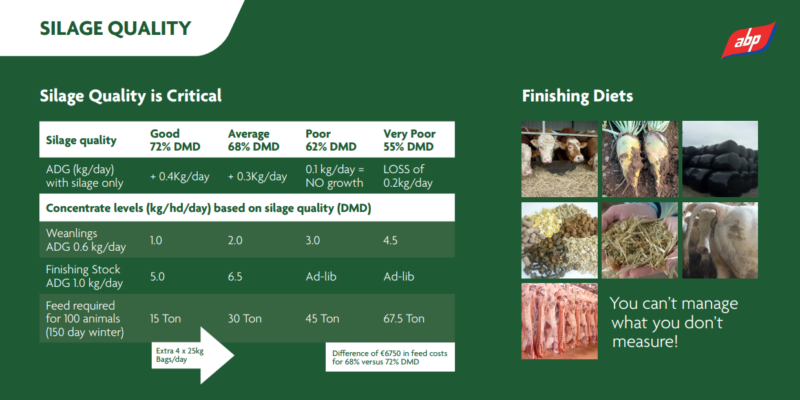 ABP Demo Farm: 'Genetics should determine calf price, not looks'