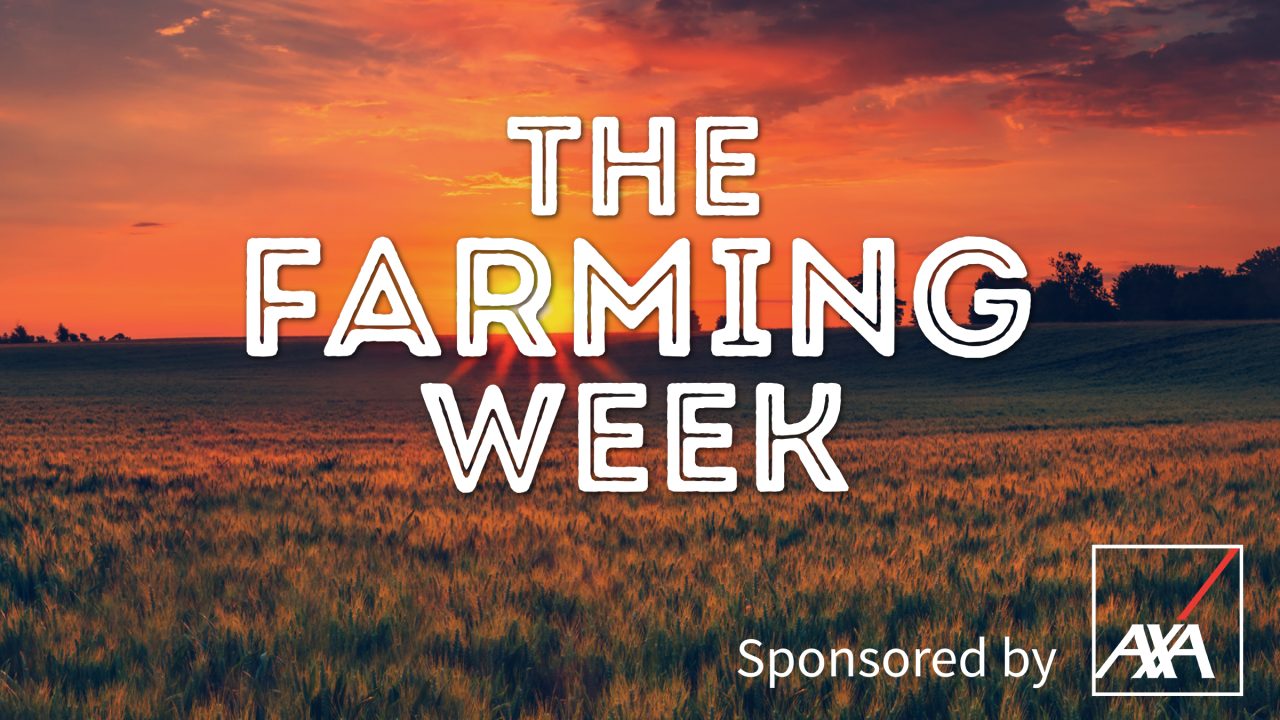 The Farming Week: Farms Impacted by Severe Weather, Beef Prospects for ...