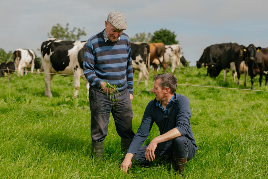 Quality Milk Awards series: Producing 1,319,451L of milk in Offaly