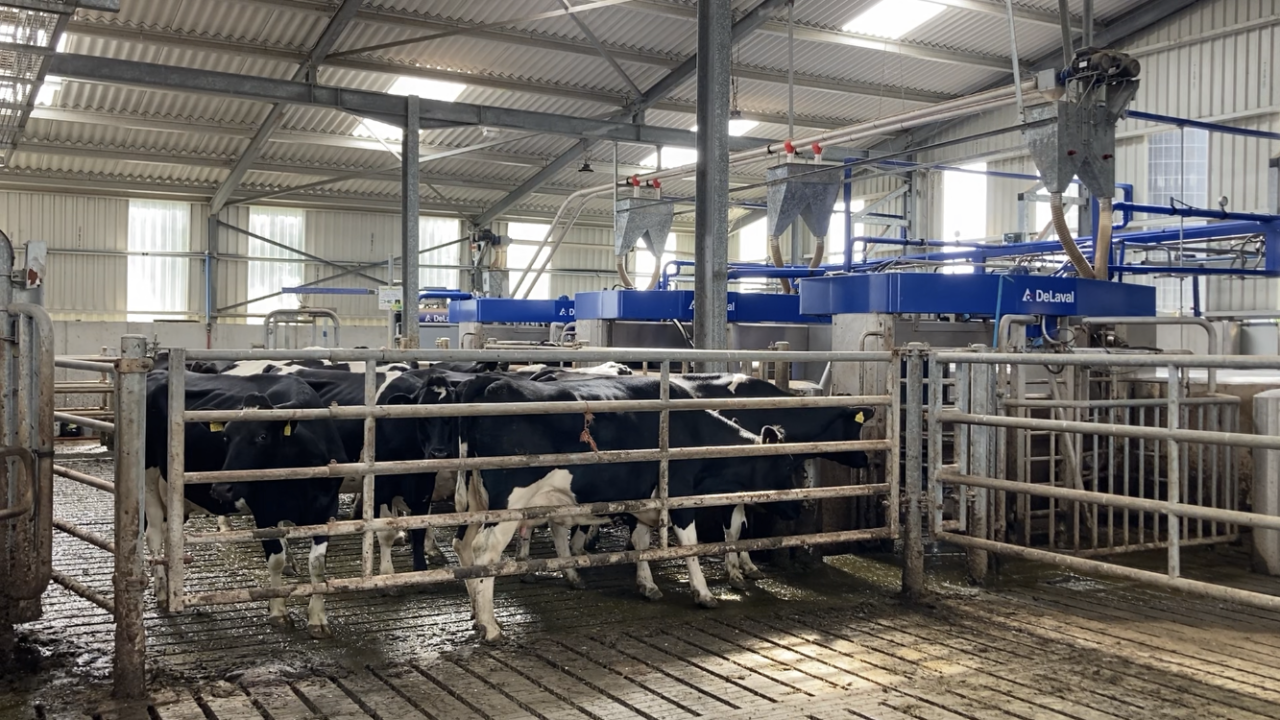 Buildings Focus: 3 robots for a 230-cow Tipperary farm