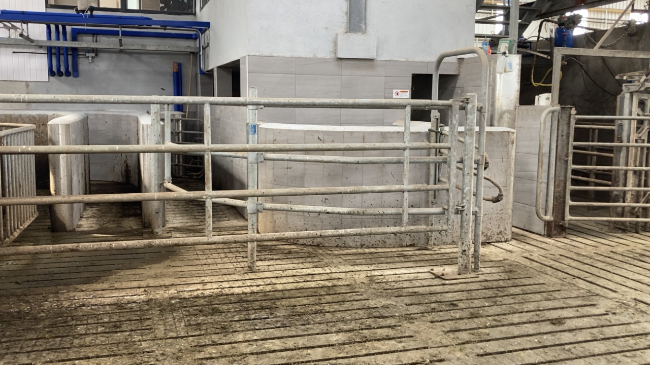 Buildings Focus: 3 robots for a 230-cow Tipperary farm