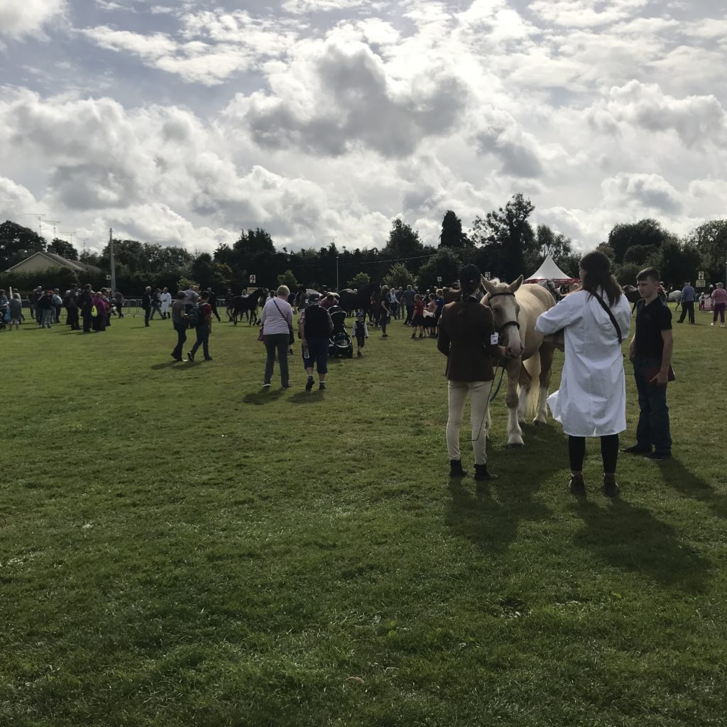 Crowds gather as 79th Virginia Show gets underway - Agriland.ie