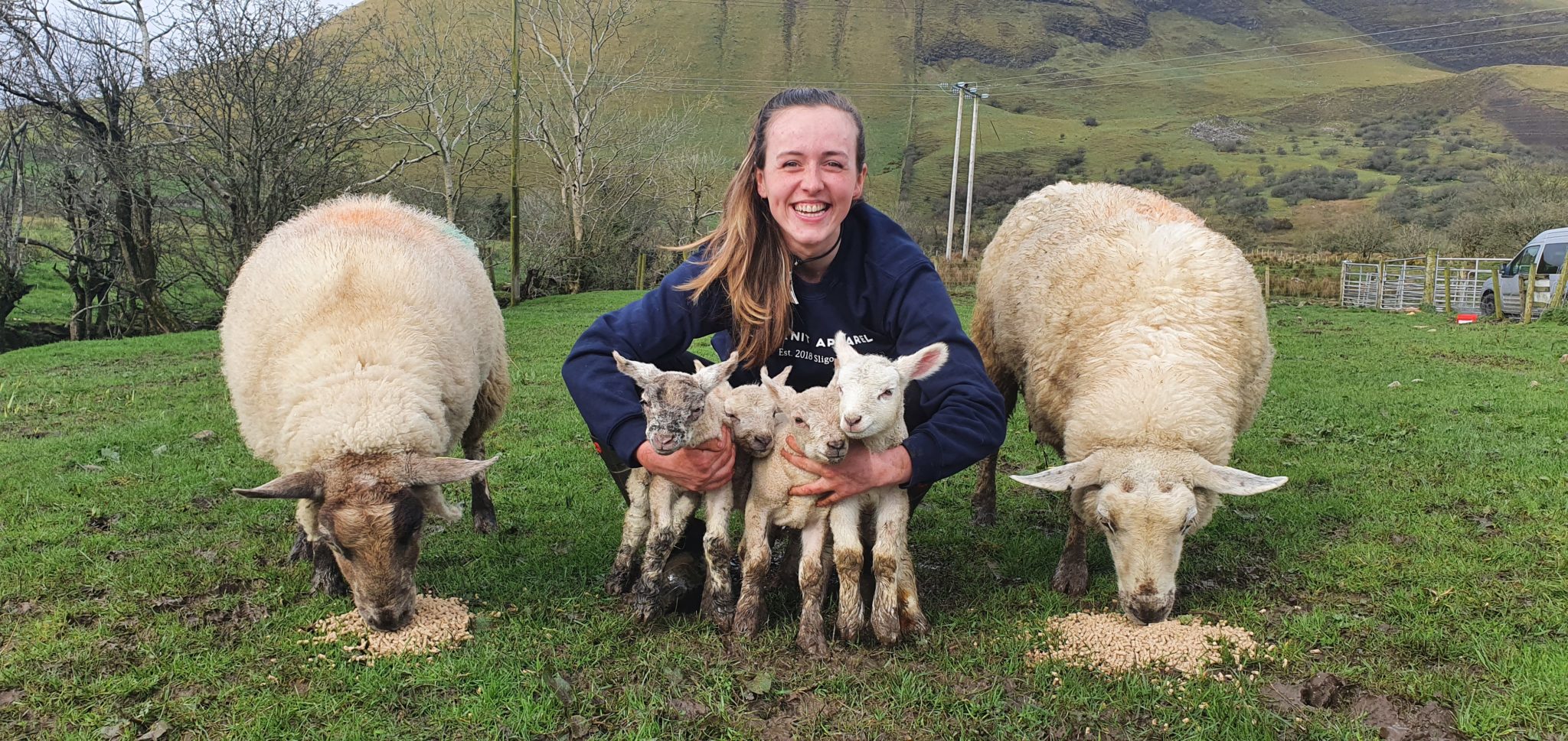 Pre-tupping fertility: Think trace-element nutrition - Agriland.ie