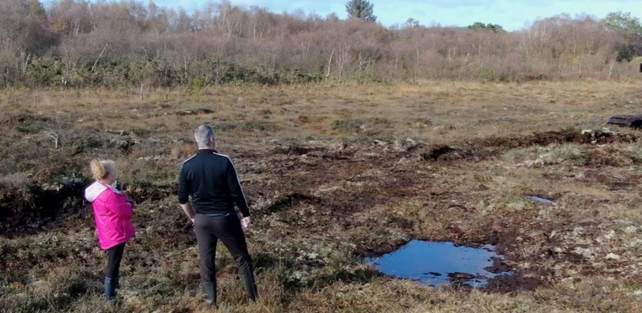 Heritage week: 'Have a different day on the bog' - Agriland.ie