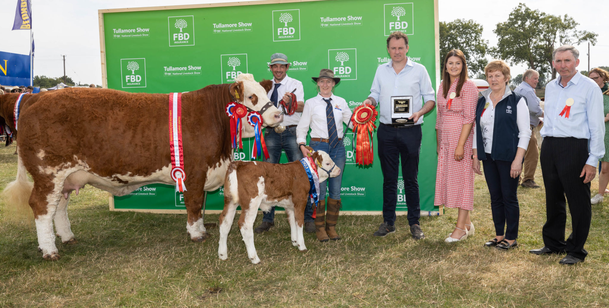 Gallery: Livestock results and winners at Tullamore Show