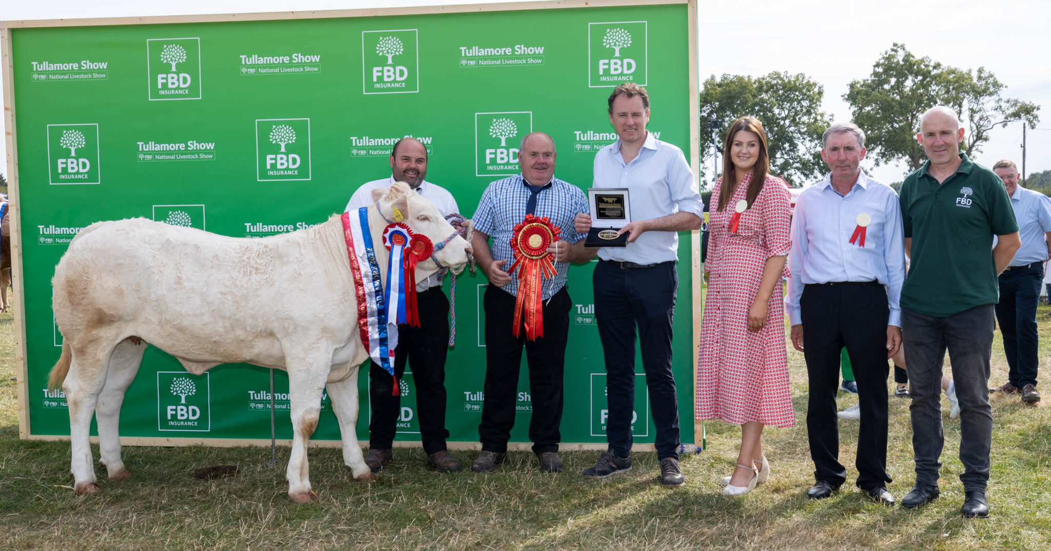 Gallery: Livestock results and winners at Tullamore Show