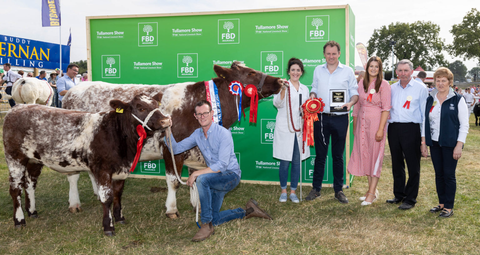 Gallery: Livestock results and winners at Tullamore Show