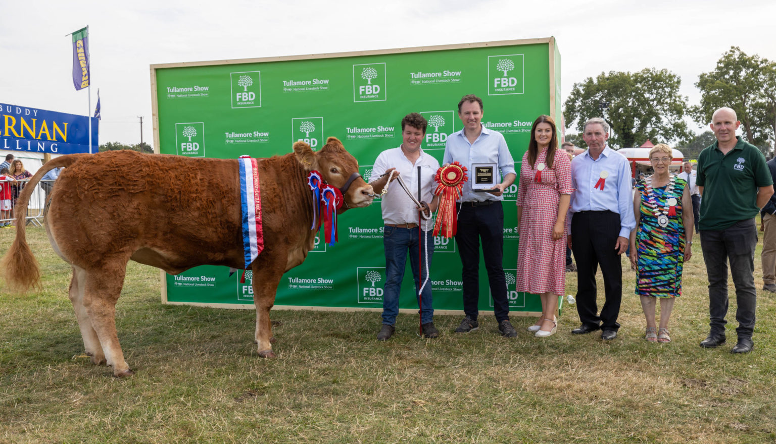 Gallery: Livestock results and winners at Tullamore Show