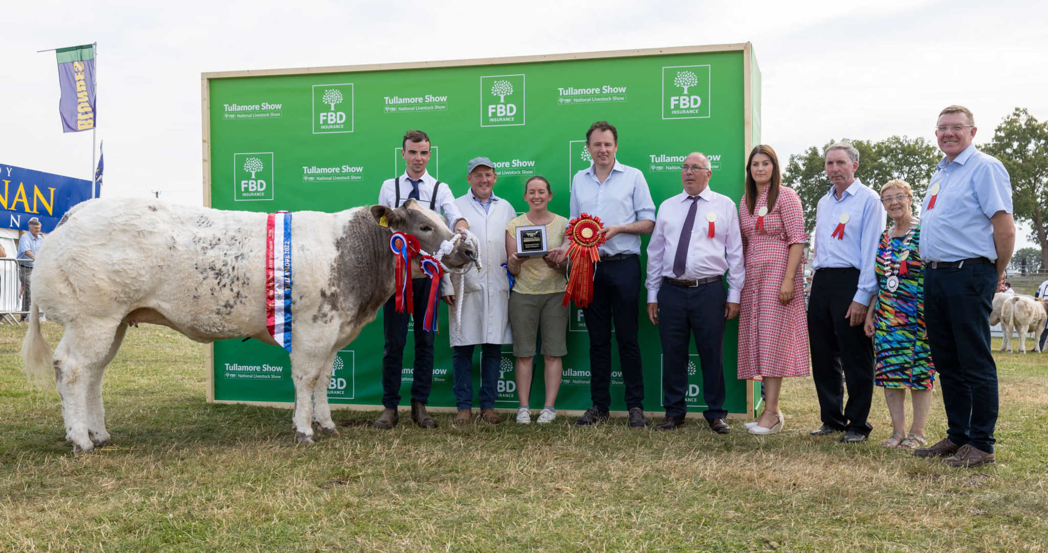 Gallery: Livestock results and winners at Tullamore Show