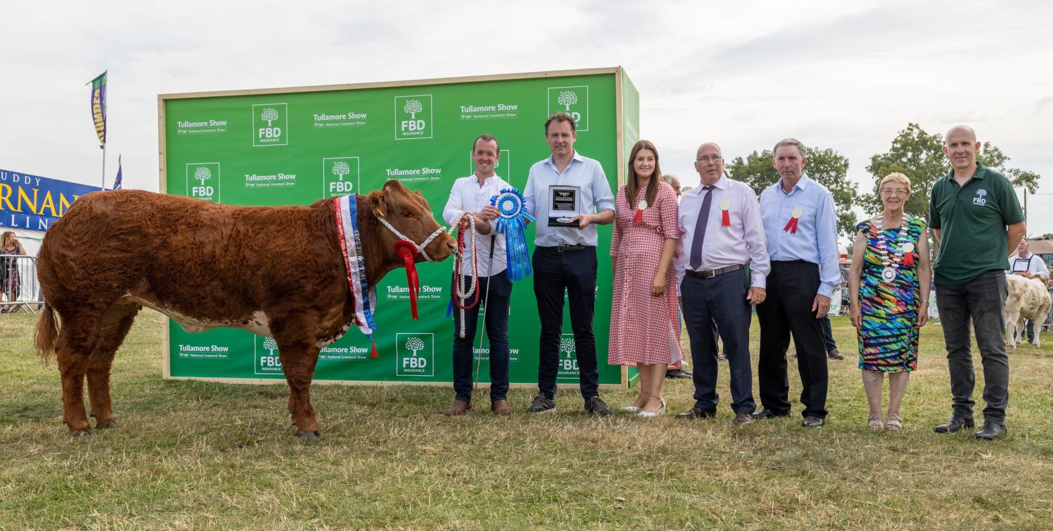 Gallery: Livestock results and winners at Tullamore Show