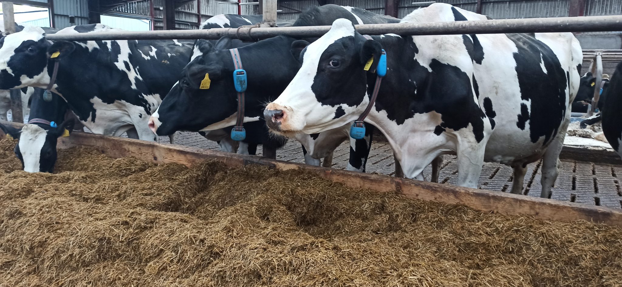 A rundown of the technology used on Derryduff dairy farm
