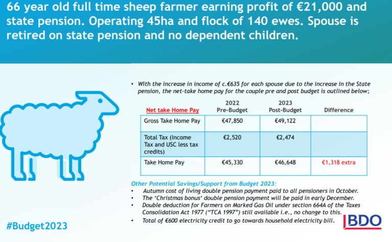 Budget 2023 case study: The sheep farmer