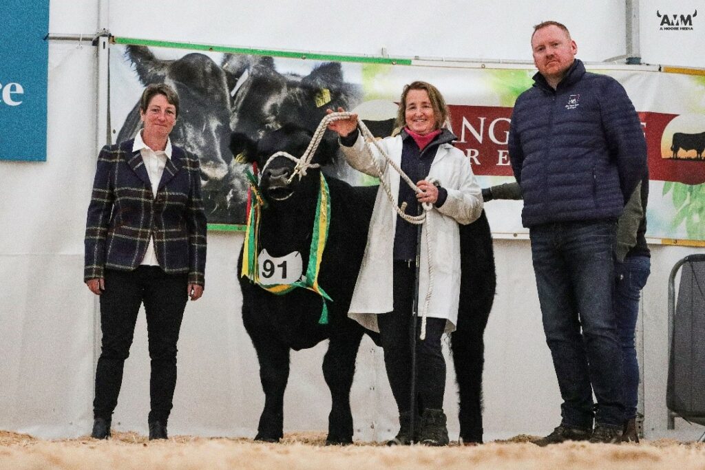 Gallery: Winners from Angus National Calf Show in Thurles
