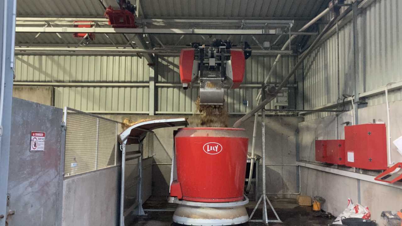 Buildings Focus: Milking and feeding Fleckvieh cows with robots