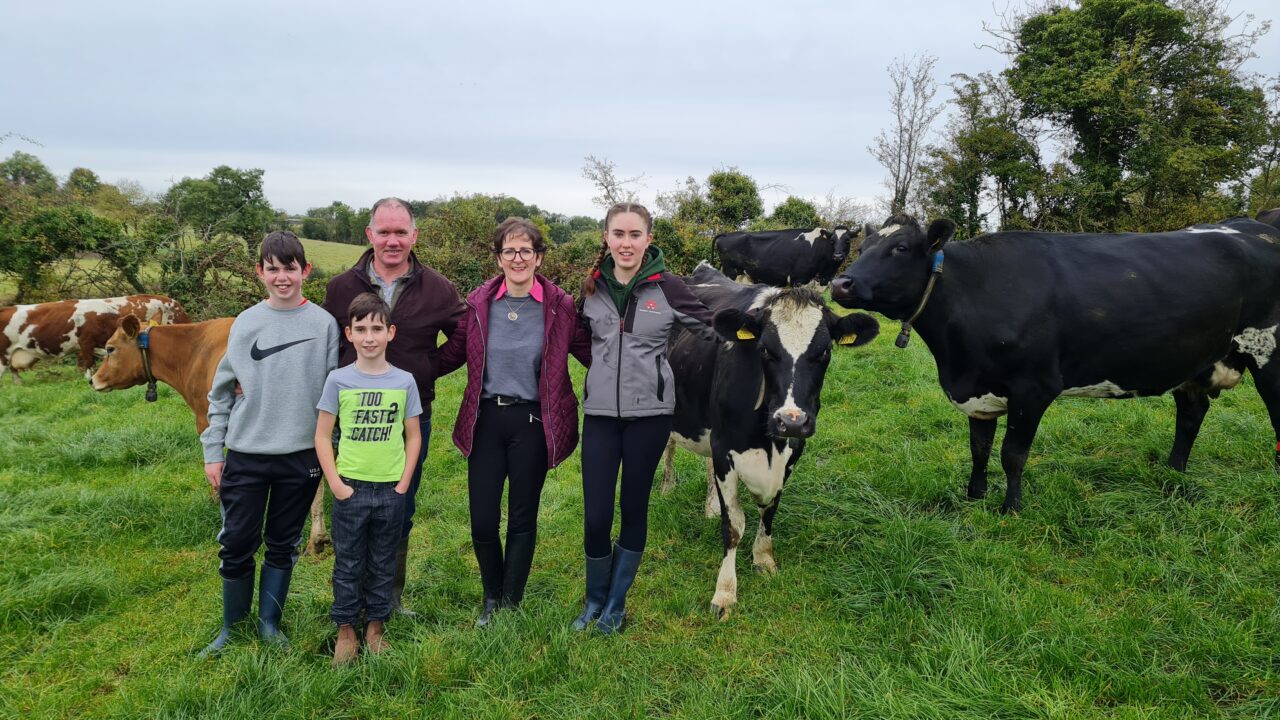 Dairy Focus: How improving EBI worked for this Co. Cavan farm