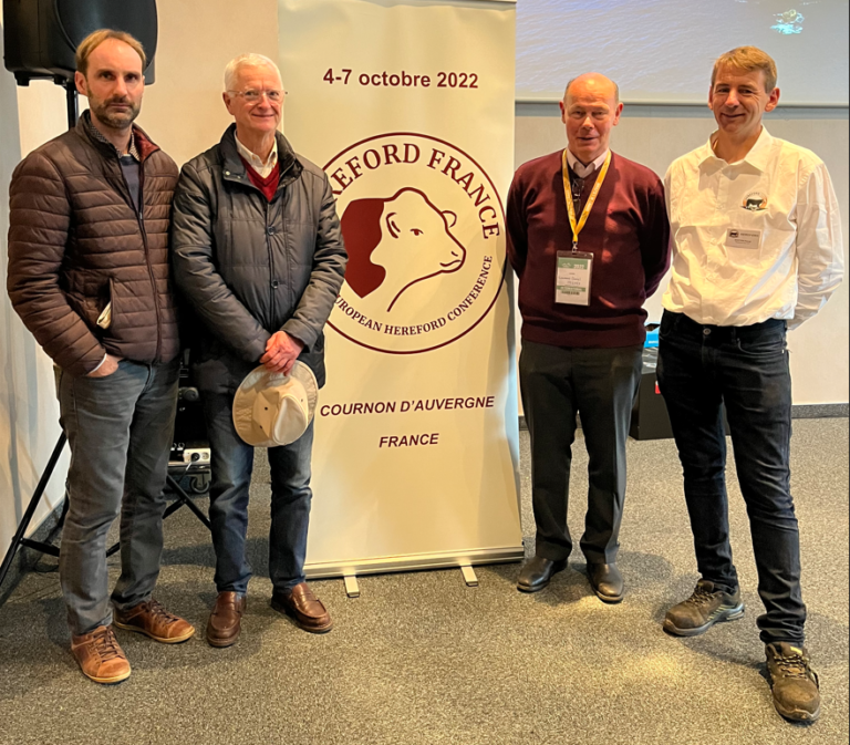 Irlanda Sediará Próxima Conferência Europeia Da Raça Hereford 2026