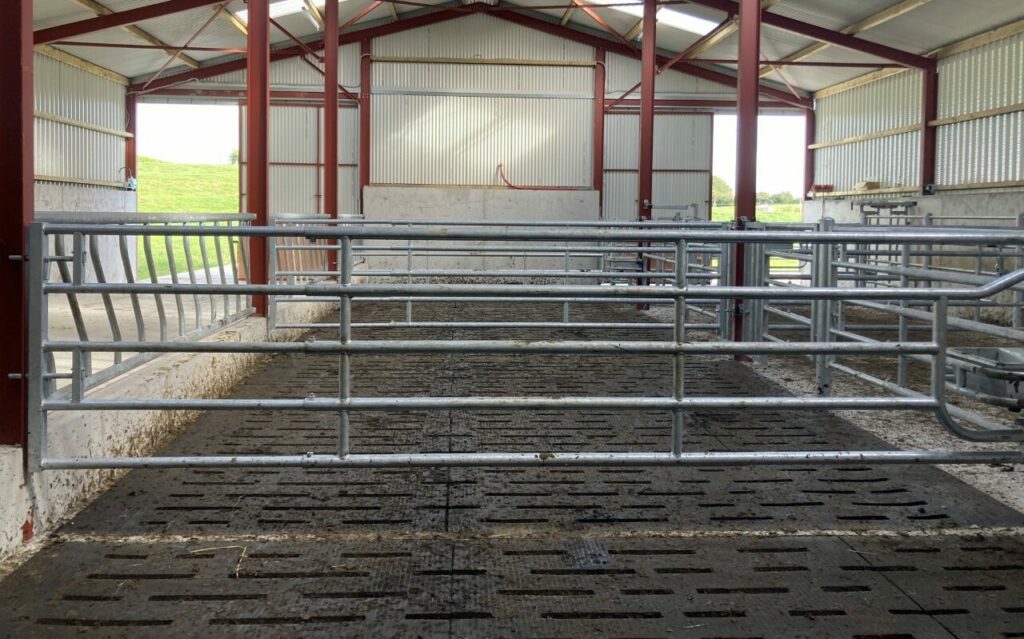 Buildings Focus: 4-bay slat and calving unit for 25-cow suckler farm