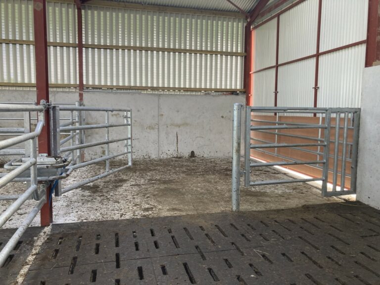 Buildings Focus: 4-bay slat and calving unit for 25-cow suckler farm
