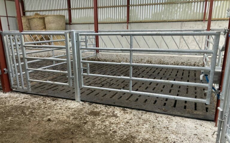 Buildings Focus: 4-bay slat and calving unit for 25-cow suckler farm