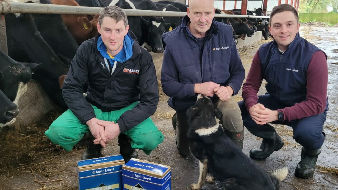 Waterford farm using 'Cow Care' to maximise dry period - Agriland.ie