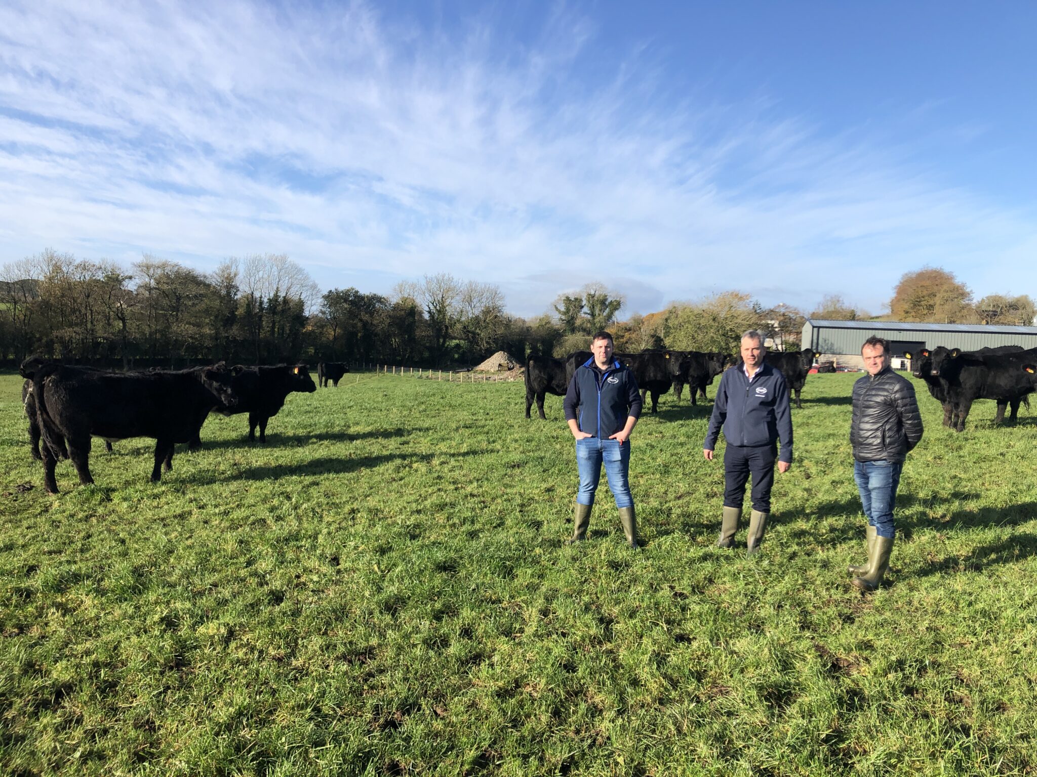 Video: Foyle cattle finishing unit and 1,100ac research farm