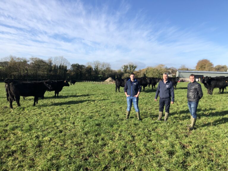 Video: Foyle cattle finishing unit and 1,100ac research farm