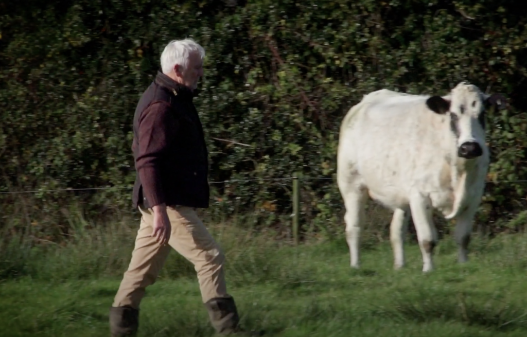 Pedigree Limousin farm saves over €8k using Supersoil - Agriland.ie
