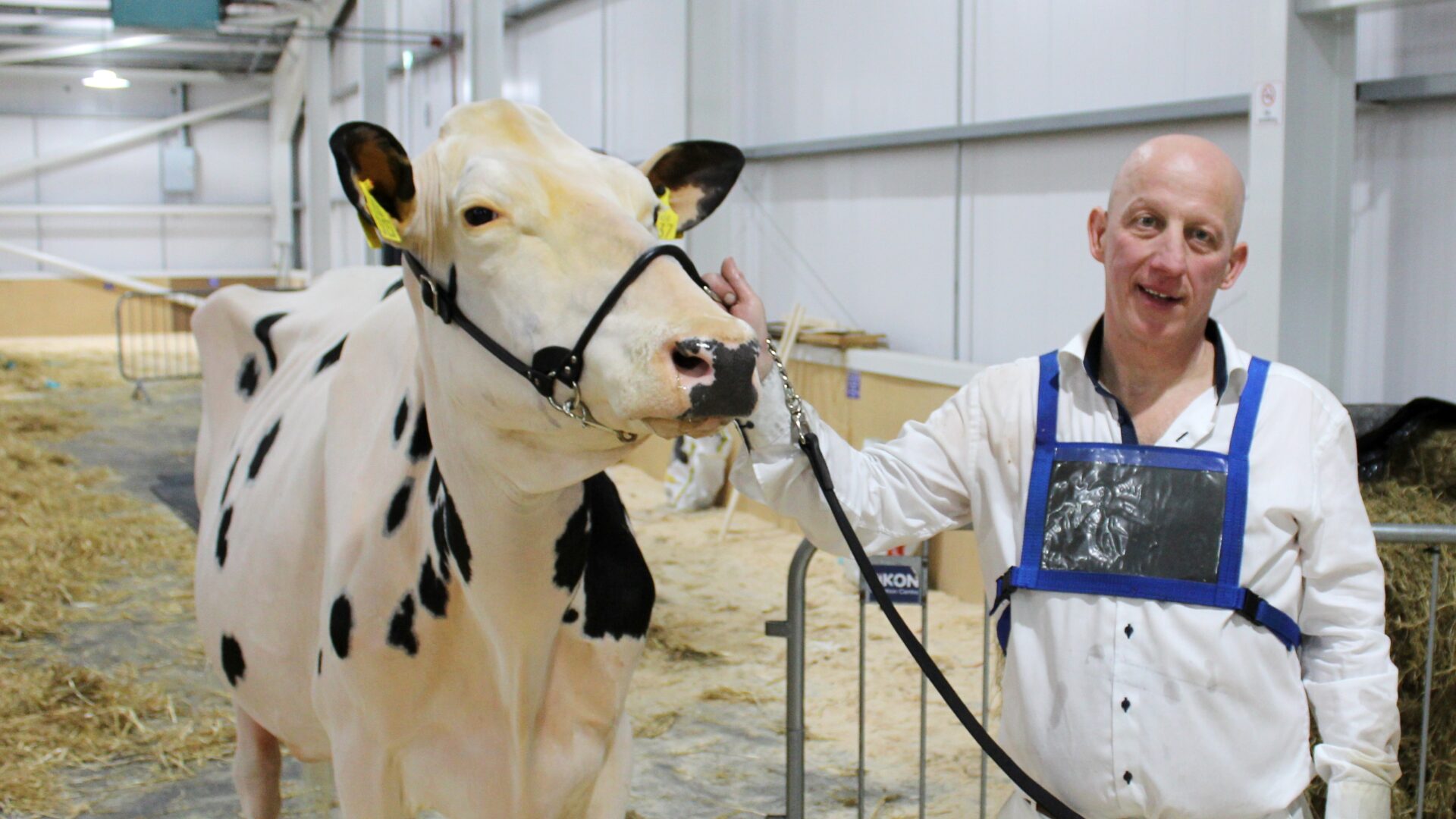Results: ‘Very special cow’ wins 2022 RUAS Winter Fair