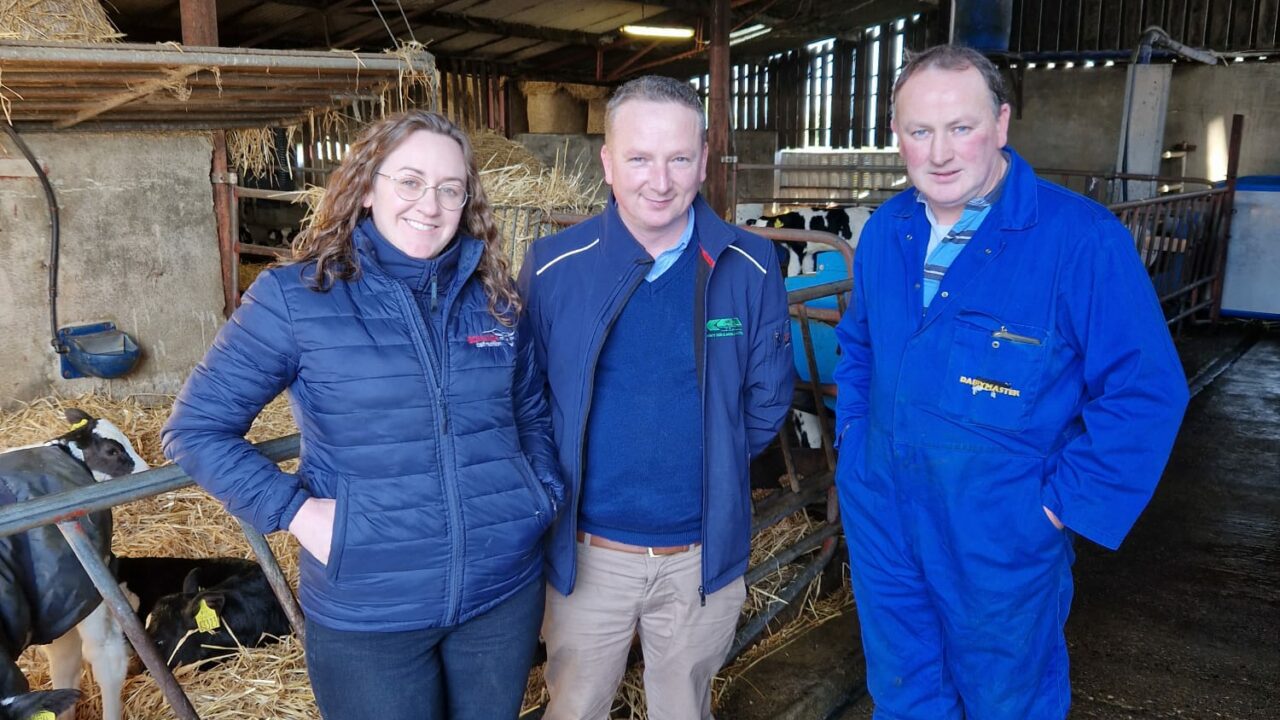 Transformula: A key component in calf rearing protocols