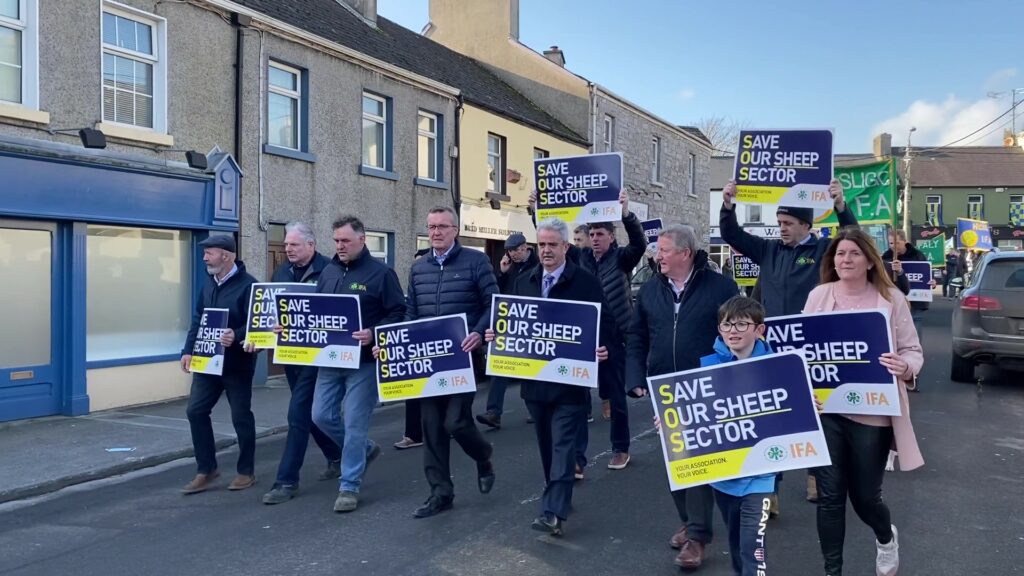 Video: Sheep farmers protest out of 'pure necessity'