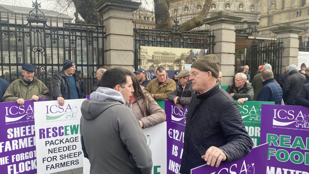 Video: ICSA protesters say sheep sector is 'on its knees' - Agriland.ie
