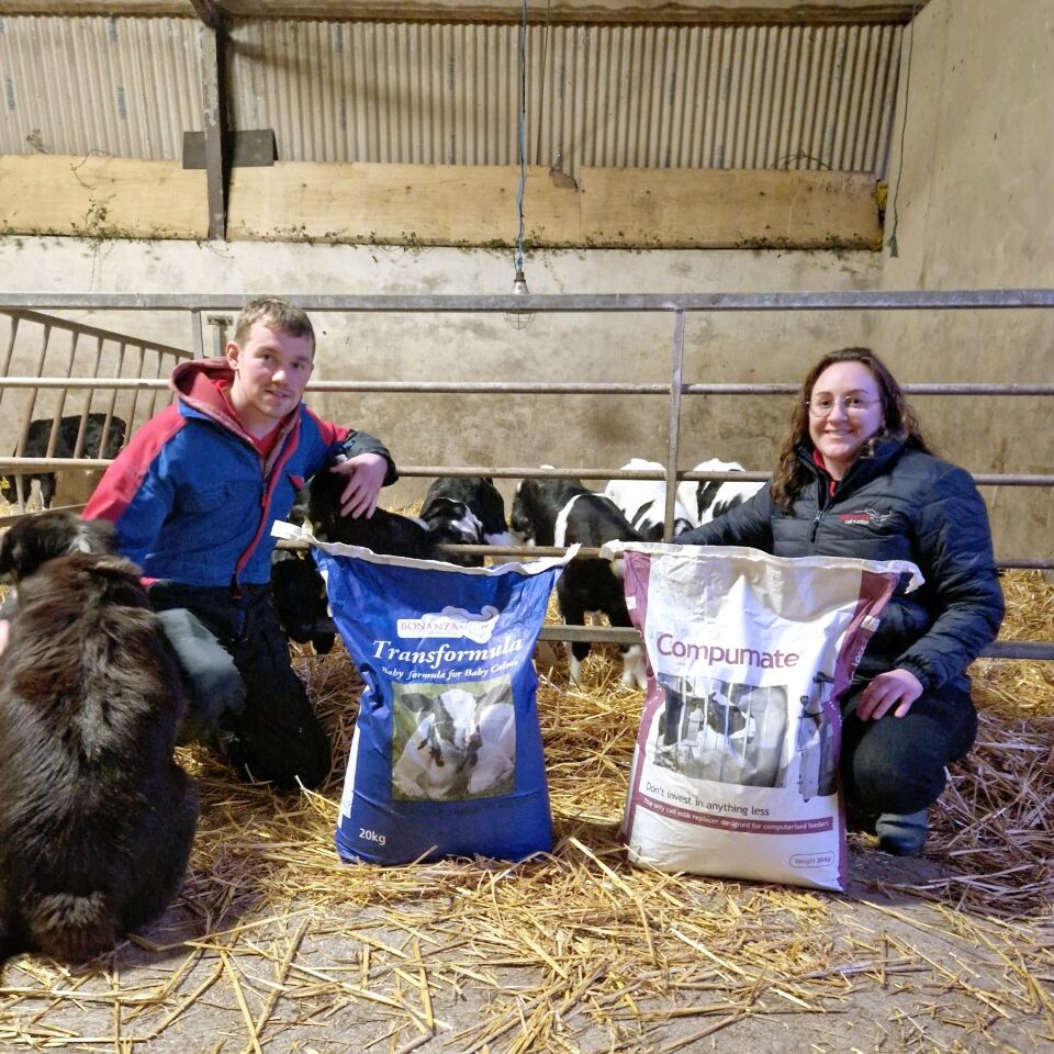 Training calves to an automatic calf feeder in Cork - Agriland.ie