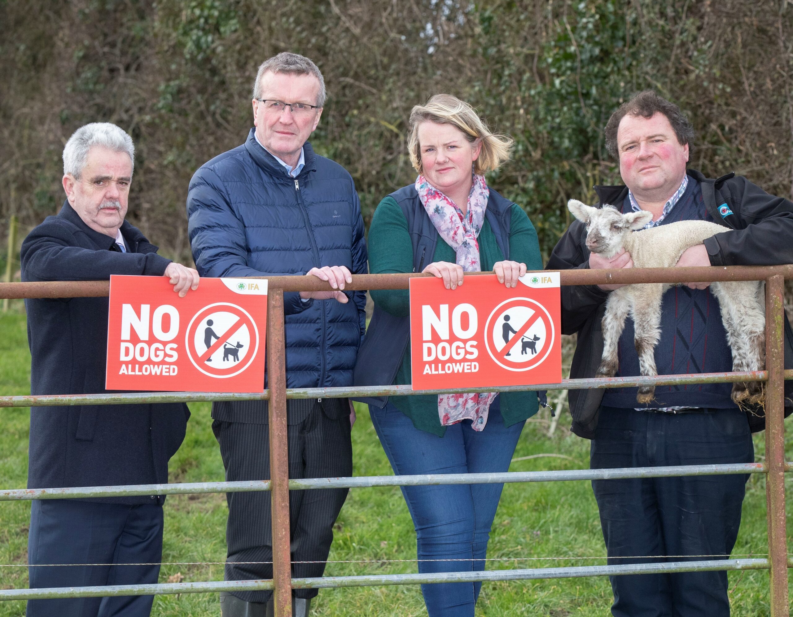 'No dogs allowed' campaign calls for action on livestock attacks