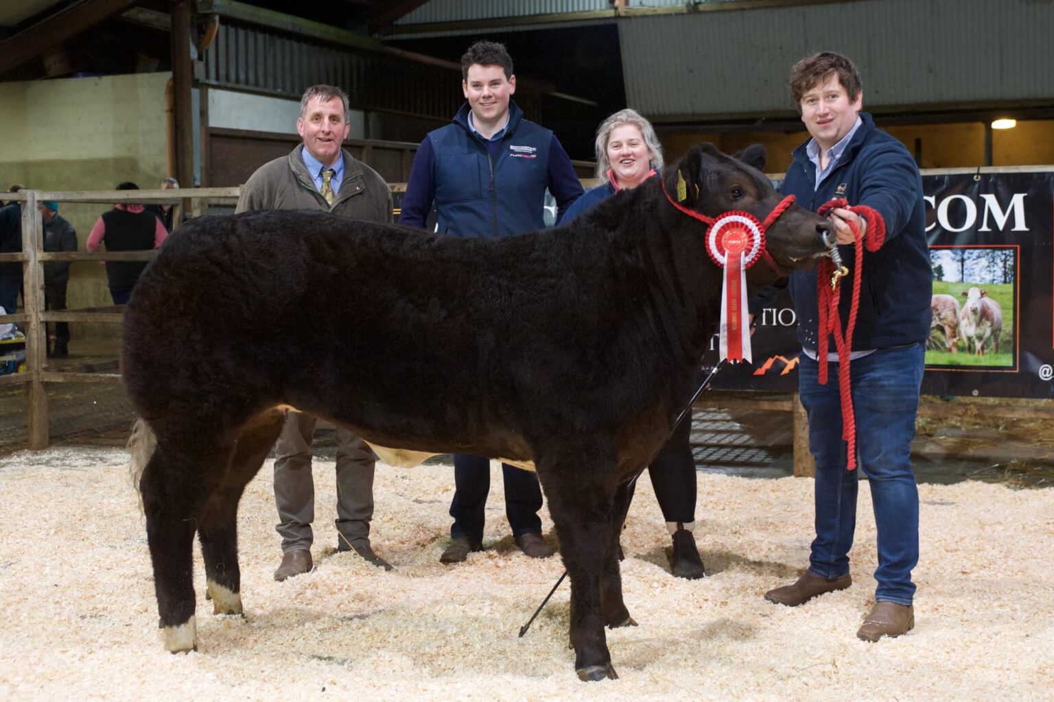 Weanling heifer sells for £13,000 at Clogher Mart - Agriland.ie