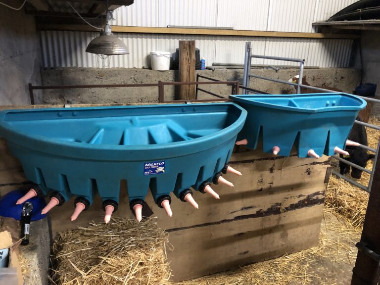 Beef Focus: Tidy calf-rearing setup on Tipperary beef farm