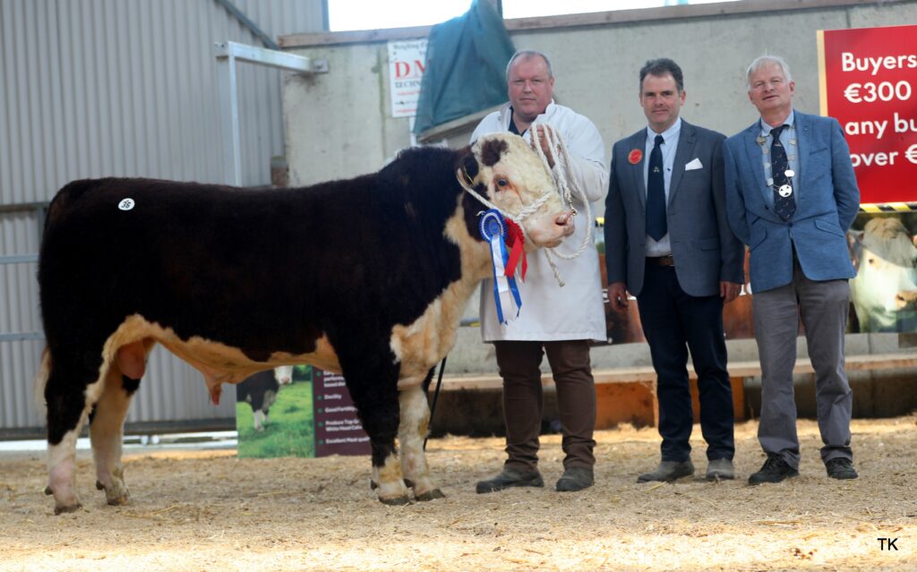 Cavan-bred bull takes top price at Tullamore Hereford sale