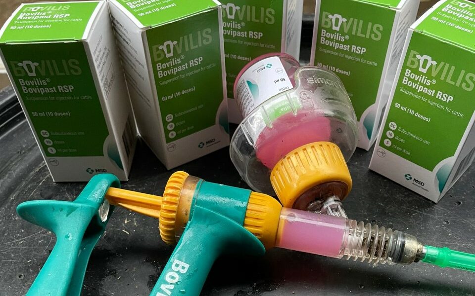 Calf pneumonia: Prevention better than cure for Cork farmer - Agriland.ie