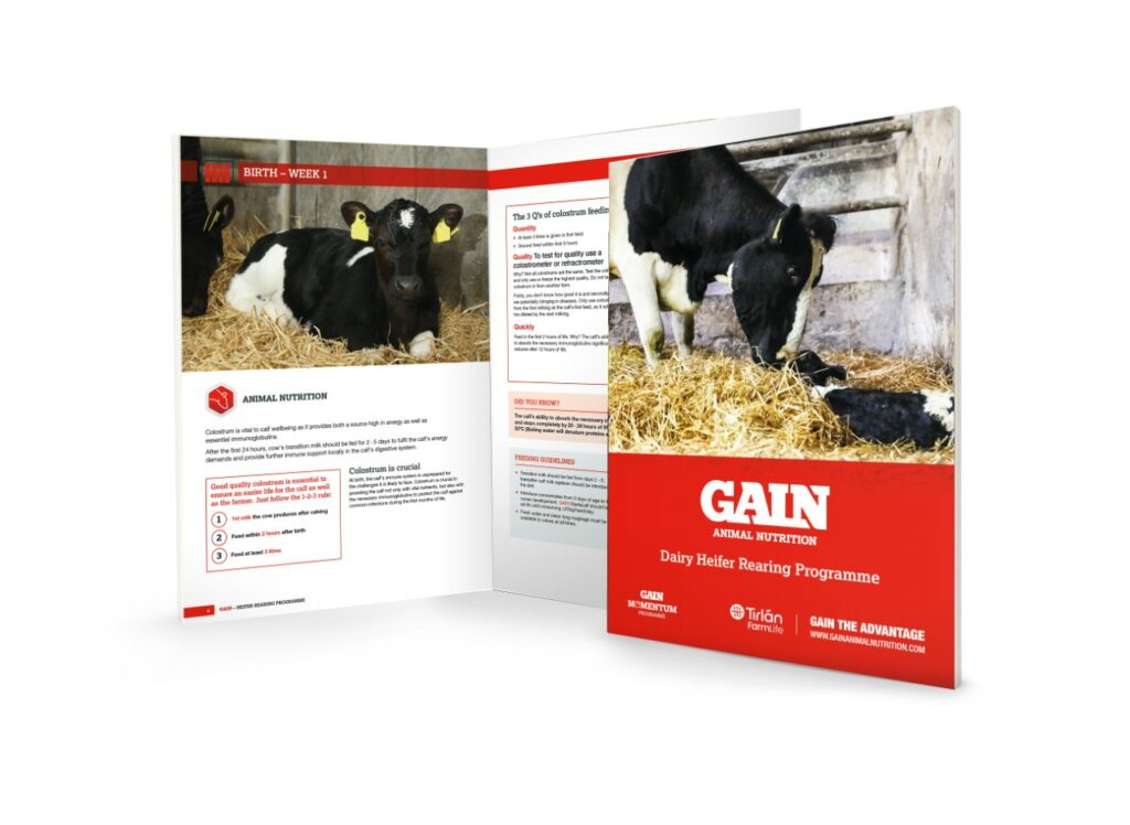 Improving calf growth and performance in Kilkenny - Agriland.ie