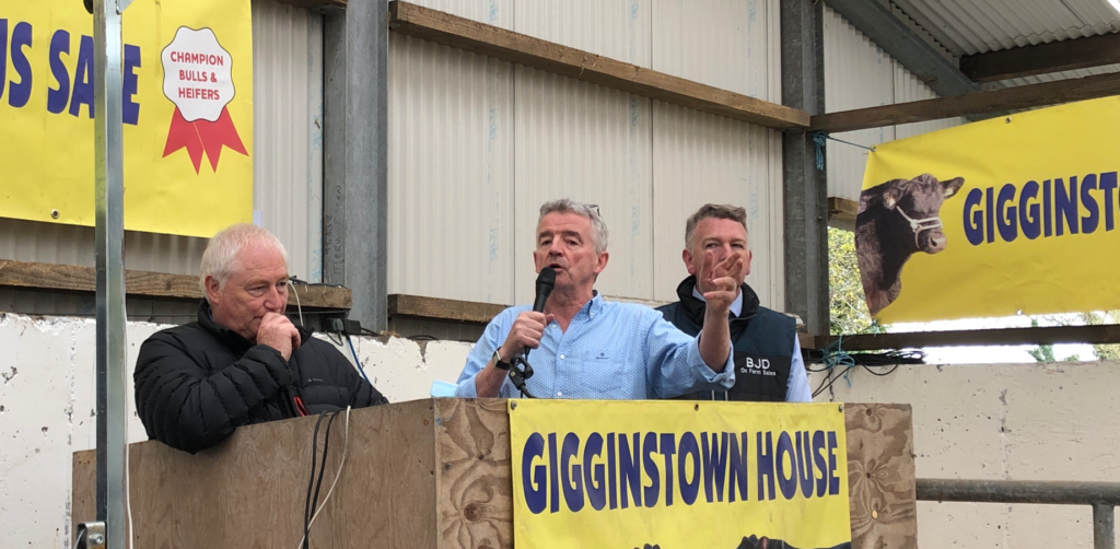 Gigginstown on-farm Angus sale set for April 22