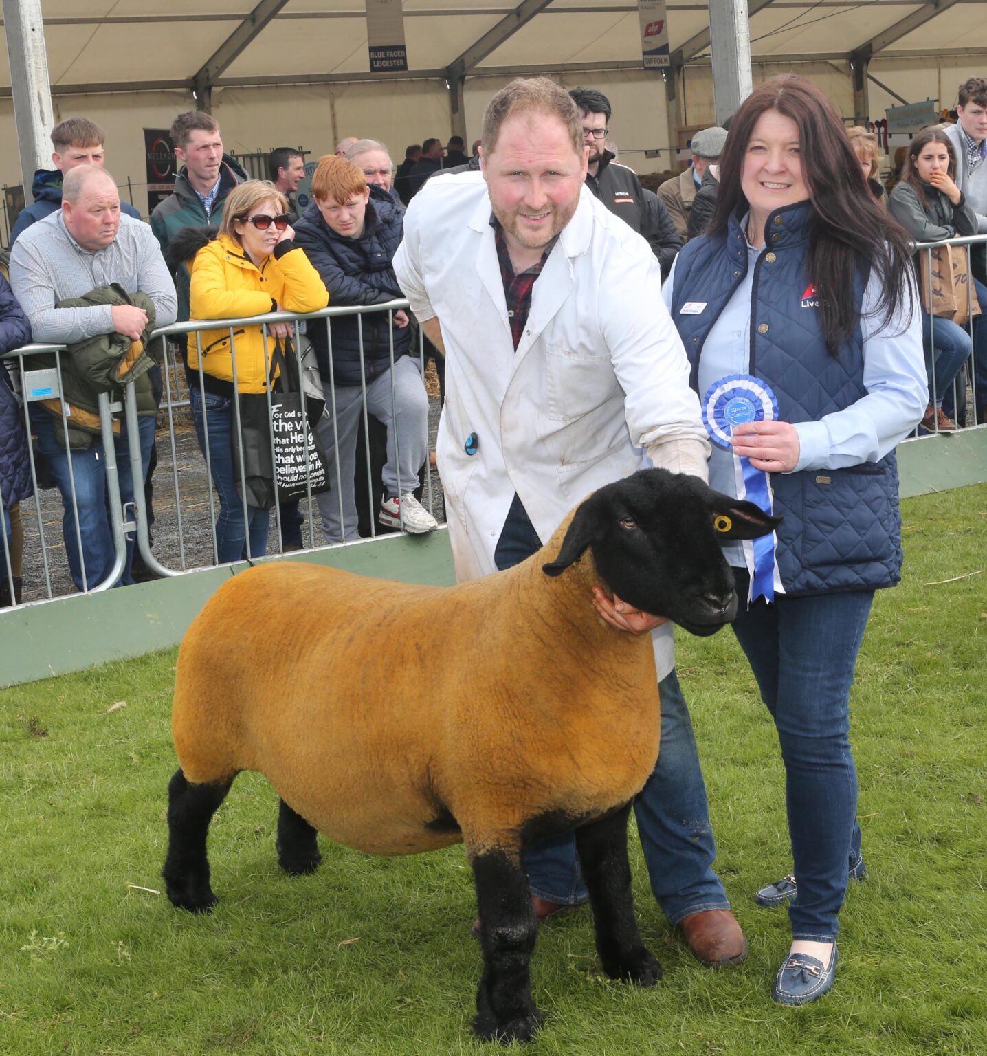 Who were the winners at Balmoral Show 2023? - Agriland.ie