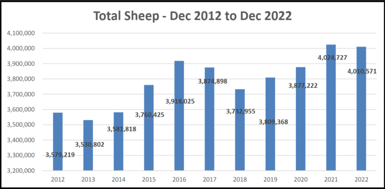 Sheep Census: Donegal has highest sheep population - Agriland.ie