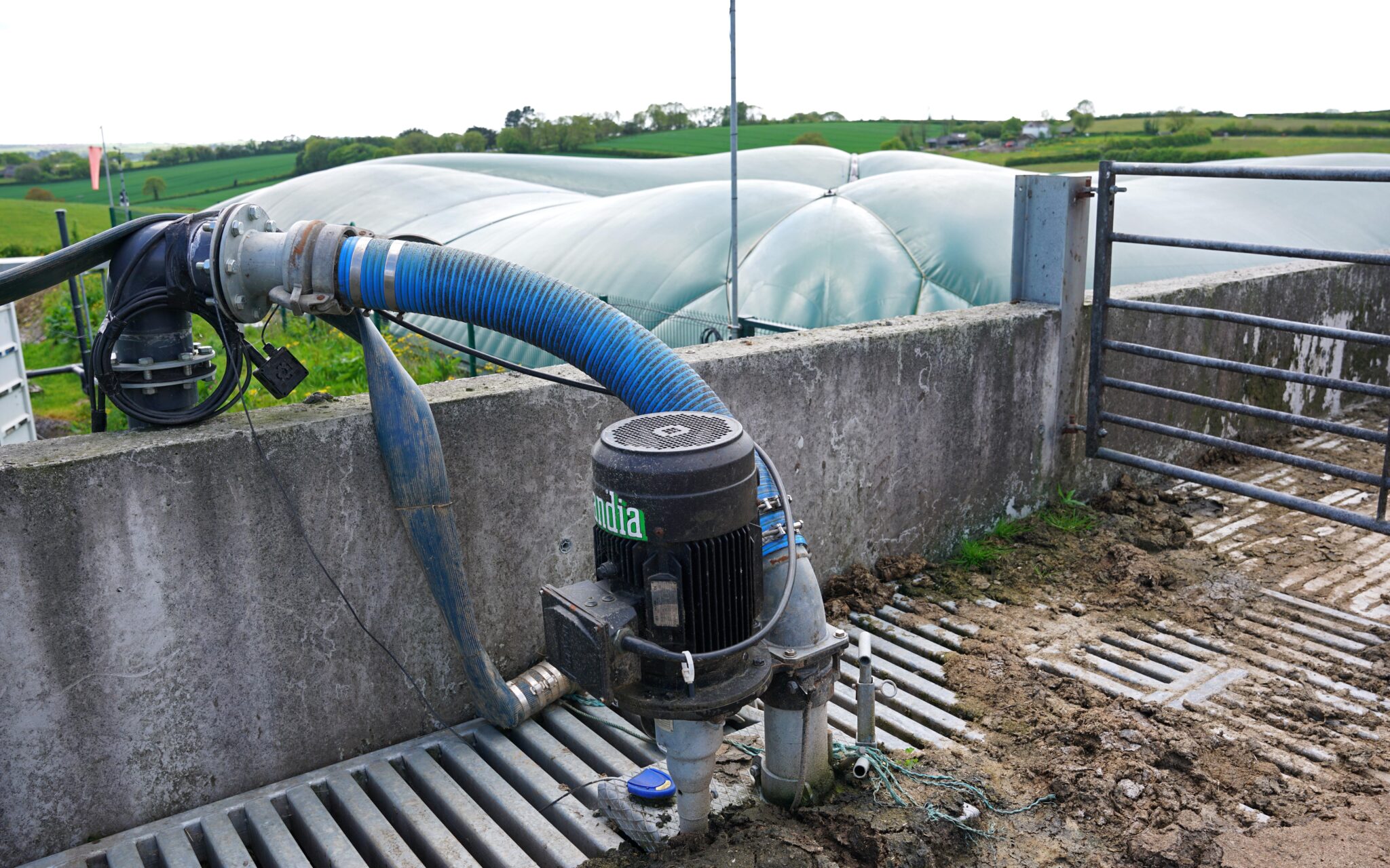 Focus: Harvesting gas from livestock slurry in Cornwall - Agriland.ie