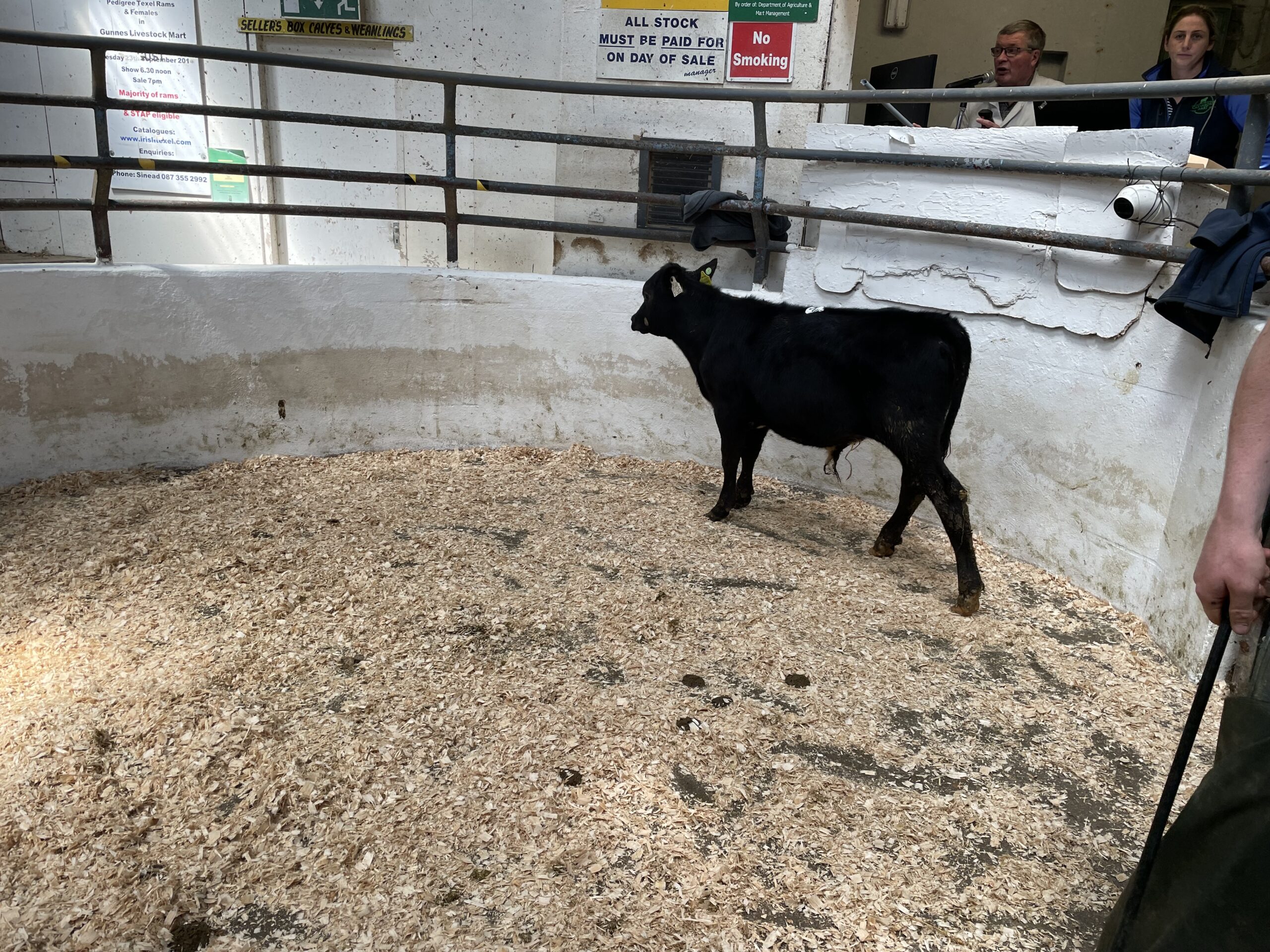 Mart report: Heavy bullocks clear €3.35/kg at Carnaross
