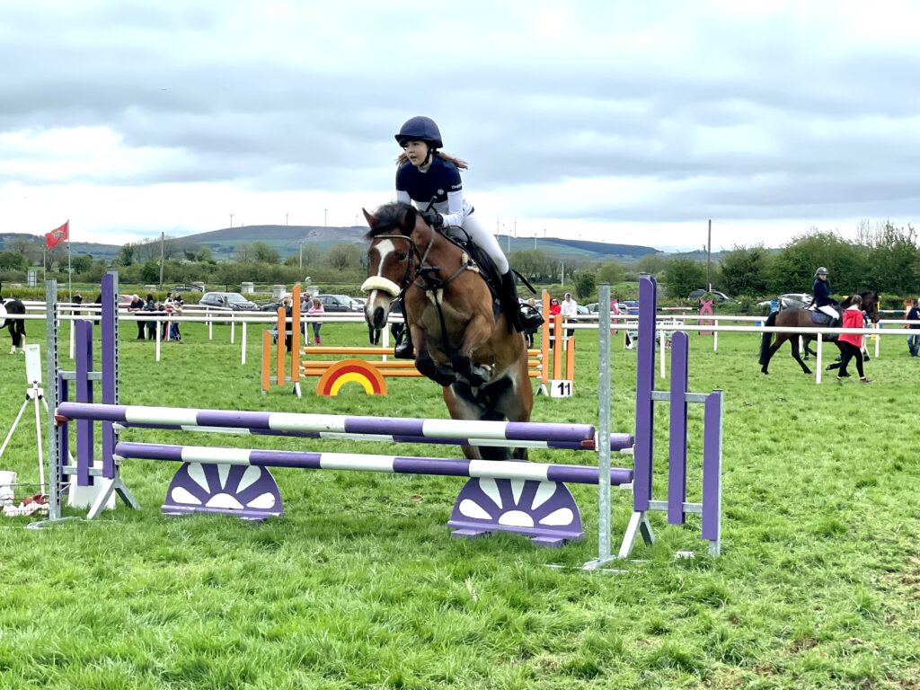 Pics: Bumper crowds for two-day Kingdom County Fair - Agriland.ie