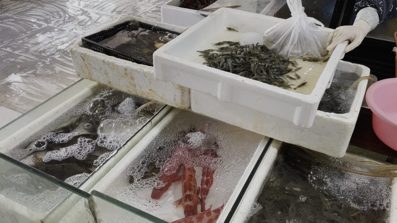 Video: See inside a traditional wet market in Shanghai