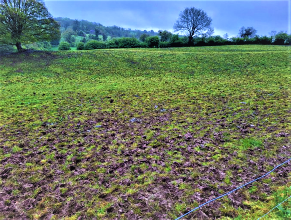 Crop monitoring report: Wet weather hampering Irish crops - Agriland.ie