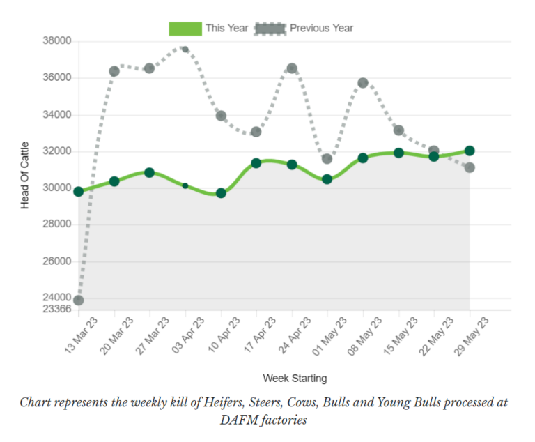 Beef kill: 60% of bullocks grading an O+ or lower - Agriland.ie