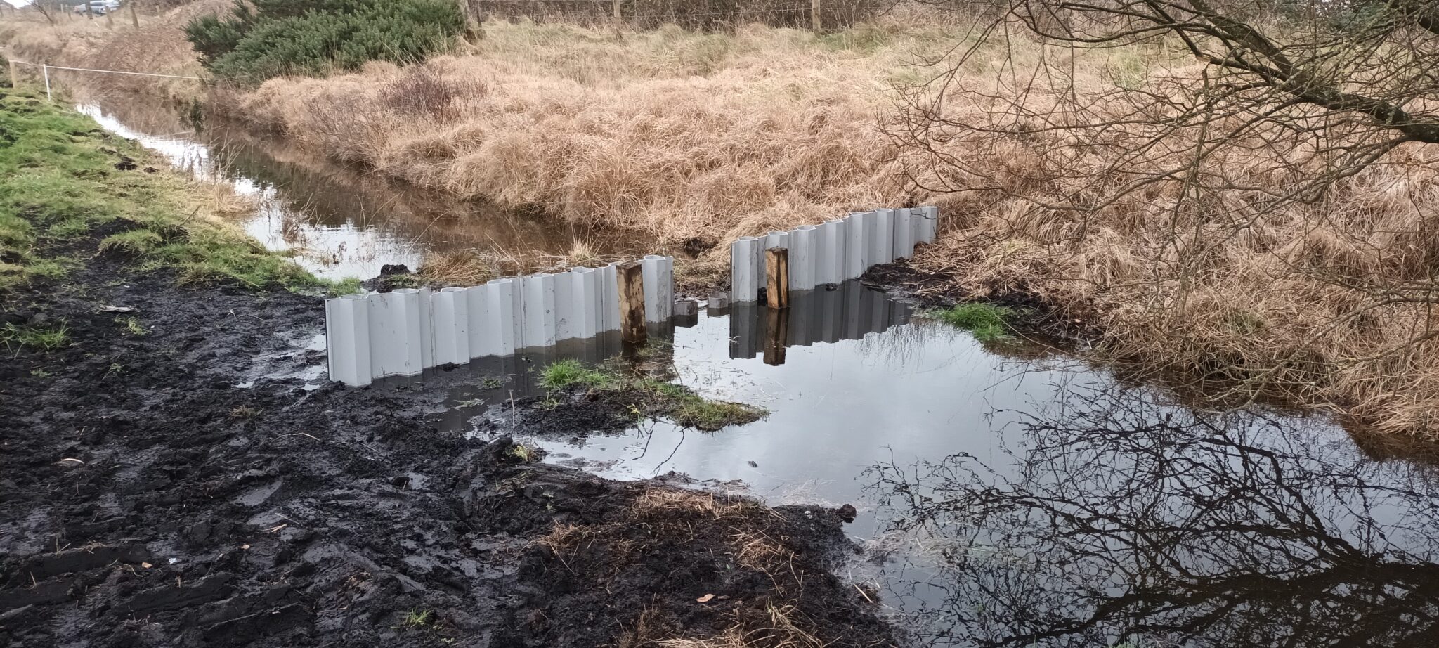 Midlands project supports farmers rewetting peat soils - Agriland.ie